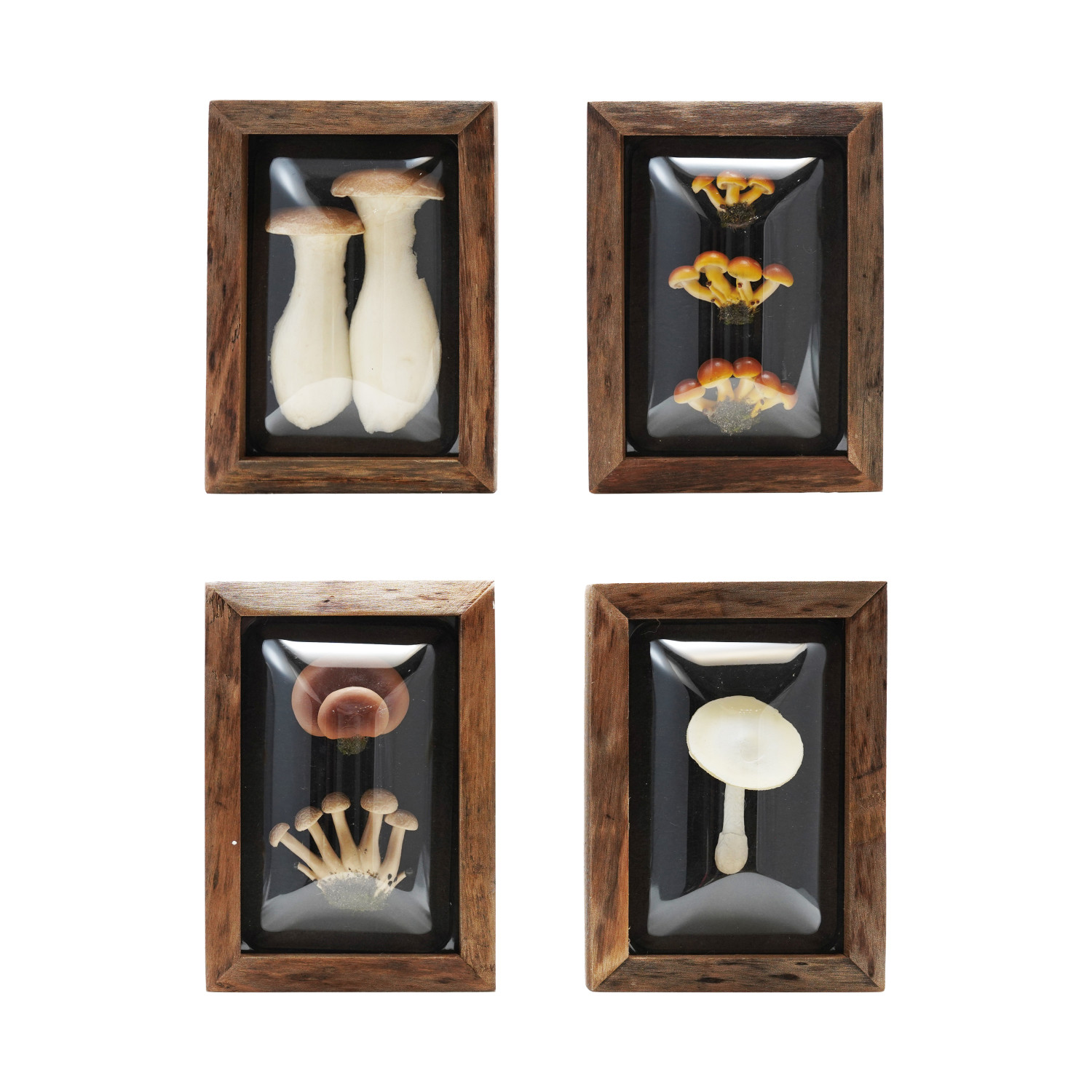 Wood Framed Convex Plastic Shadow Box Wall Décor, 4 Styles
